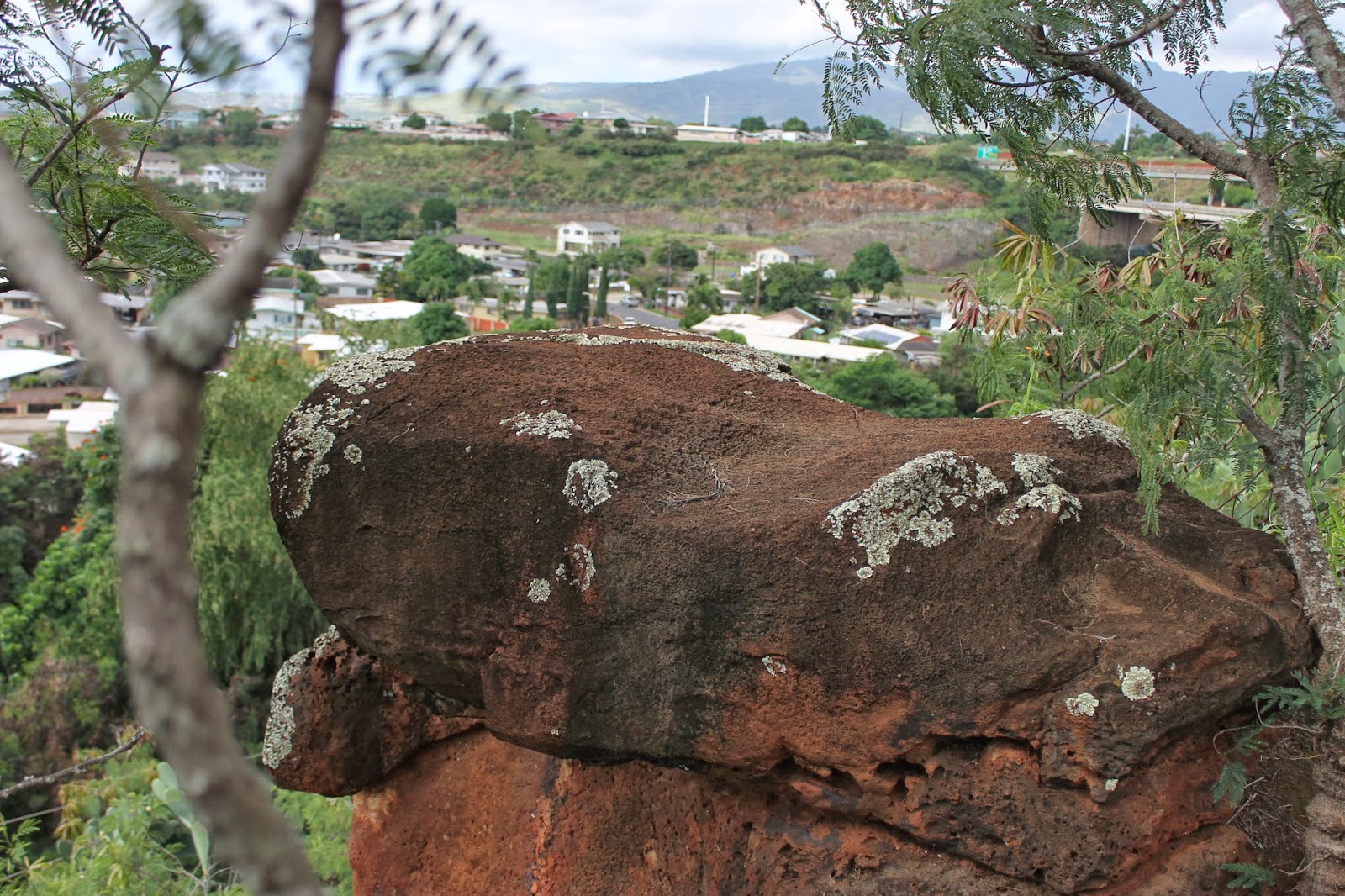 Pohukaina Cave: Morning Petroglyph